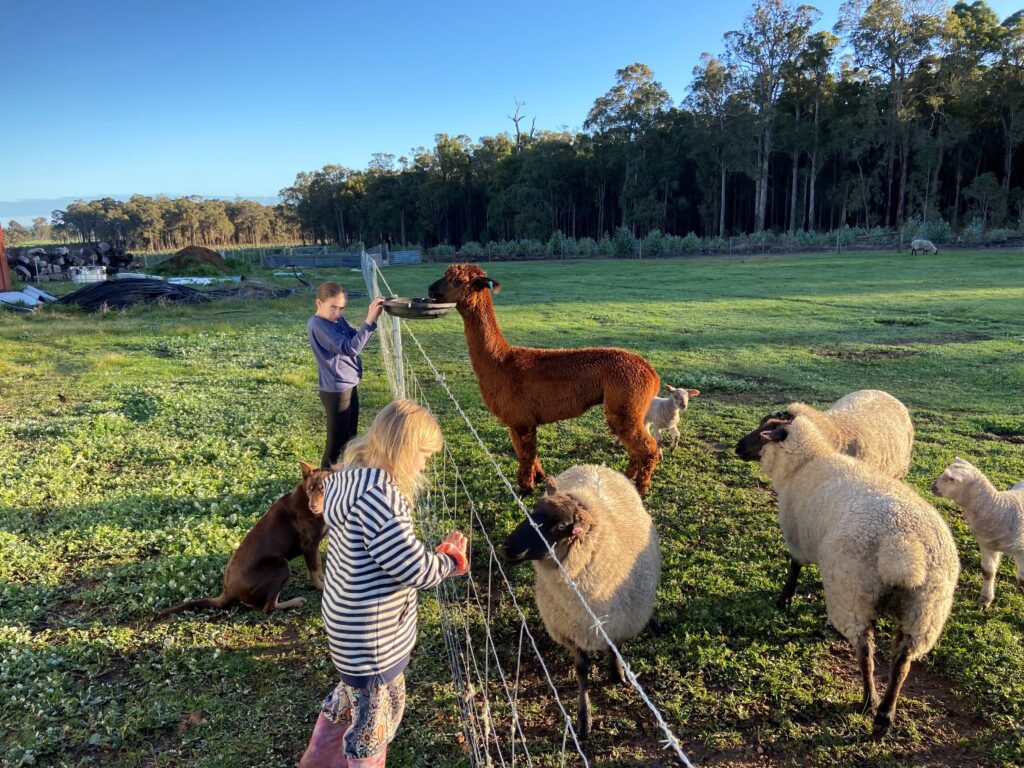 Farm Stays – Outdoors WA