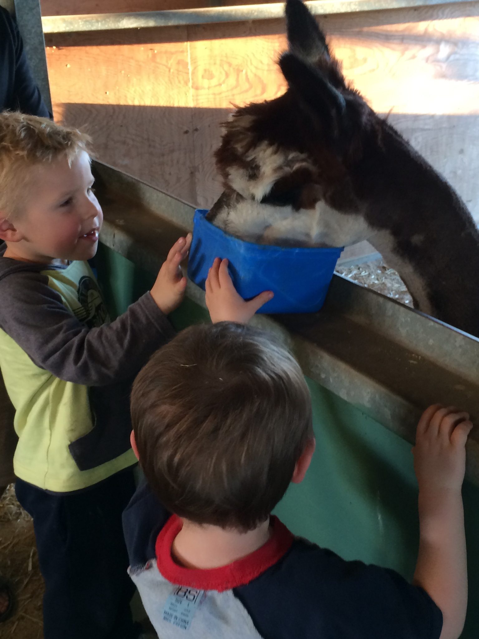 Farm Stays – Outdoors WA